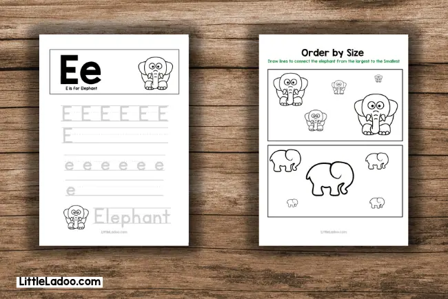 Elephant worksheets - Free printable Worksheets | Little Ladoo