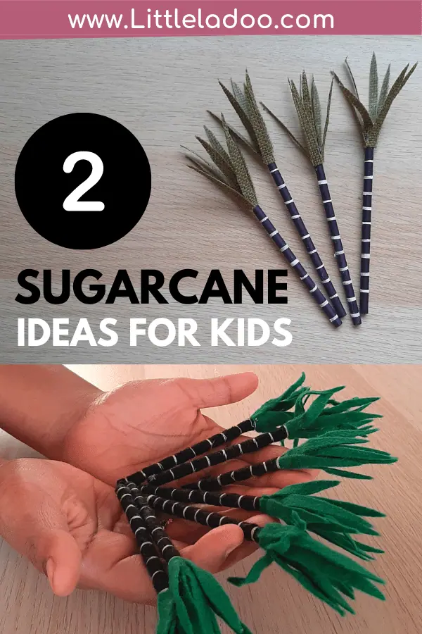 Sugarcane Craft for kids - Little Ladoo