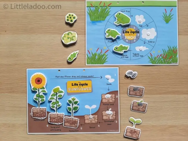 Fork-Painted Sunflower Craft {Free Template}