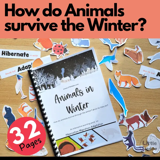 Animals in Winter Learning Pack - Little Ladoo