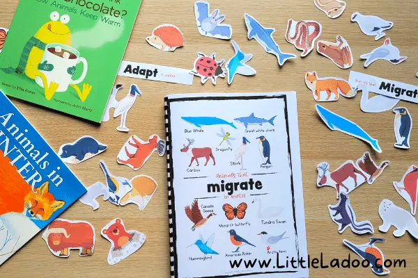 Animals in Winter Learning Pack - Little Ladoo