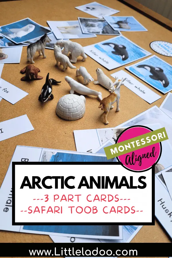 Arctic Animals 3 Part Cards Printable - Little Ladoo