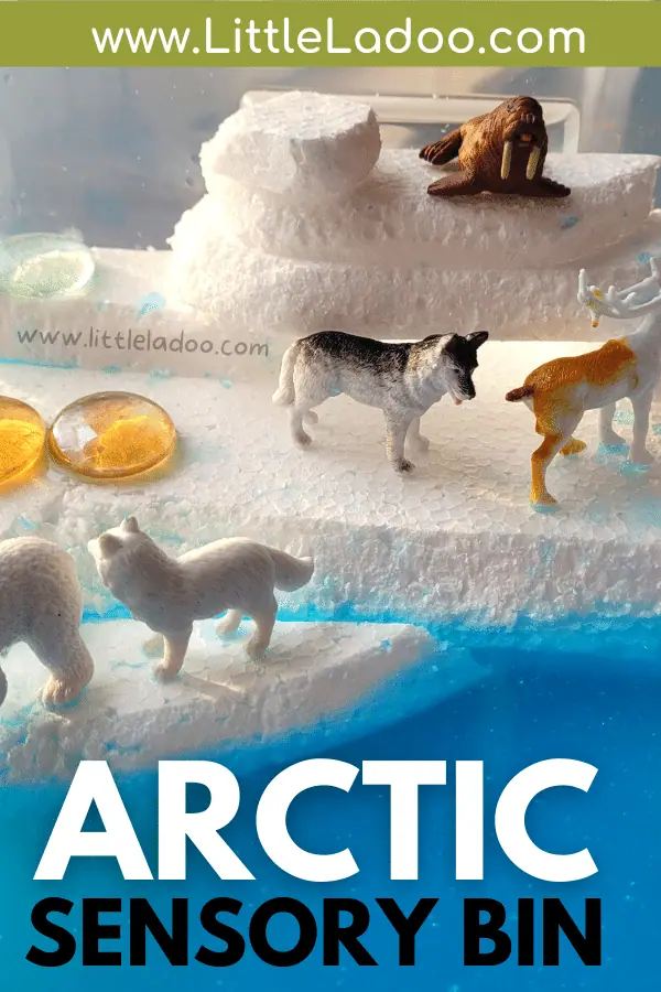 Arctic Sensory Bin