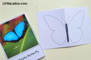 Butterfly Symmetry Painting {Free Template}