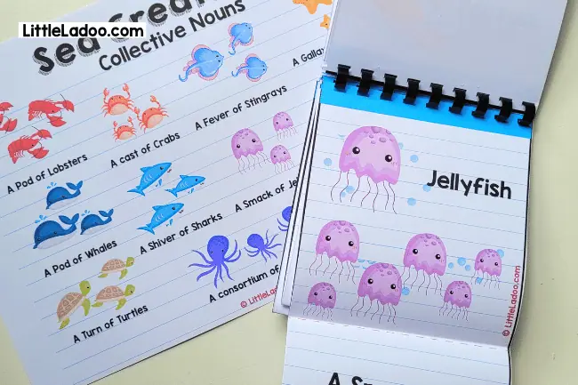 Ocean Animals Collective Nouns Printable - Little Ladoo