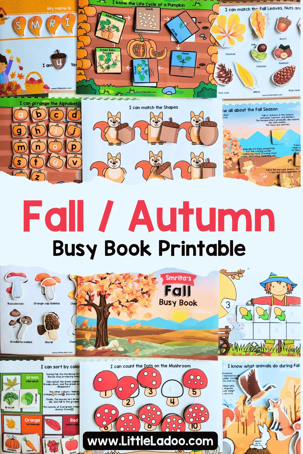 Fall Busy Book Printable {11 Activities}