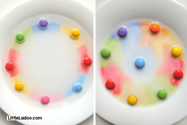 Skittles Rainbow Science Experiment for Kids - Little Ladoo