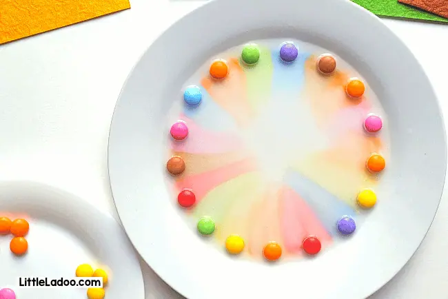Skittles Rainbow Science Experiment for Kids - Little Ladoo
