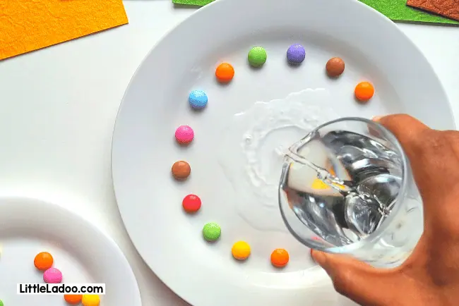 Skittles Rainbow Science Experiment for Kids - Little Ladoo