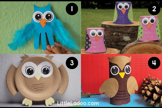 Owl Facts for kids - The Ultimate Guide to Learn All About Cows