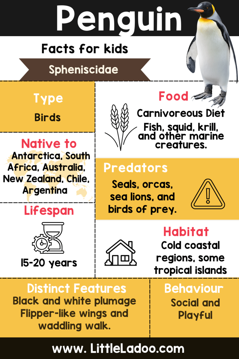 Penguin Facts for kids