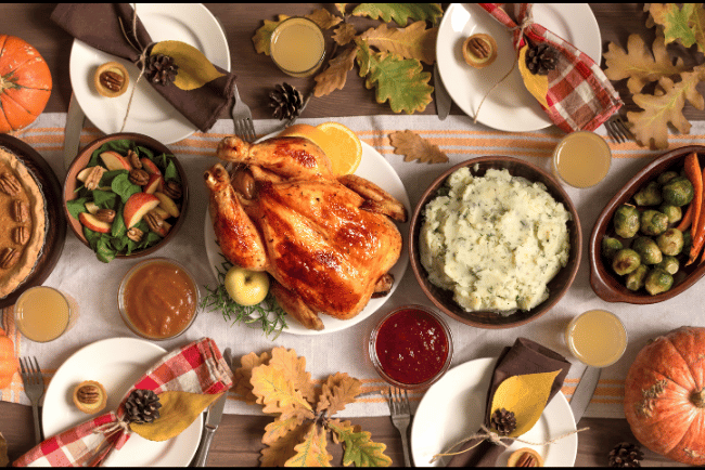 Turkey facts for kids