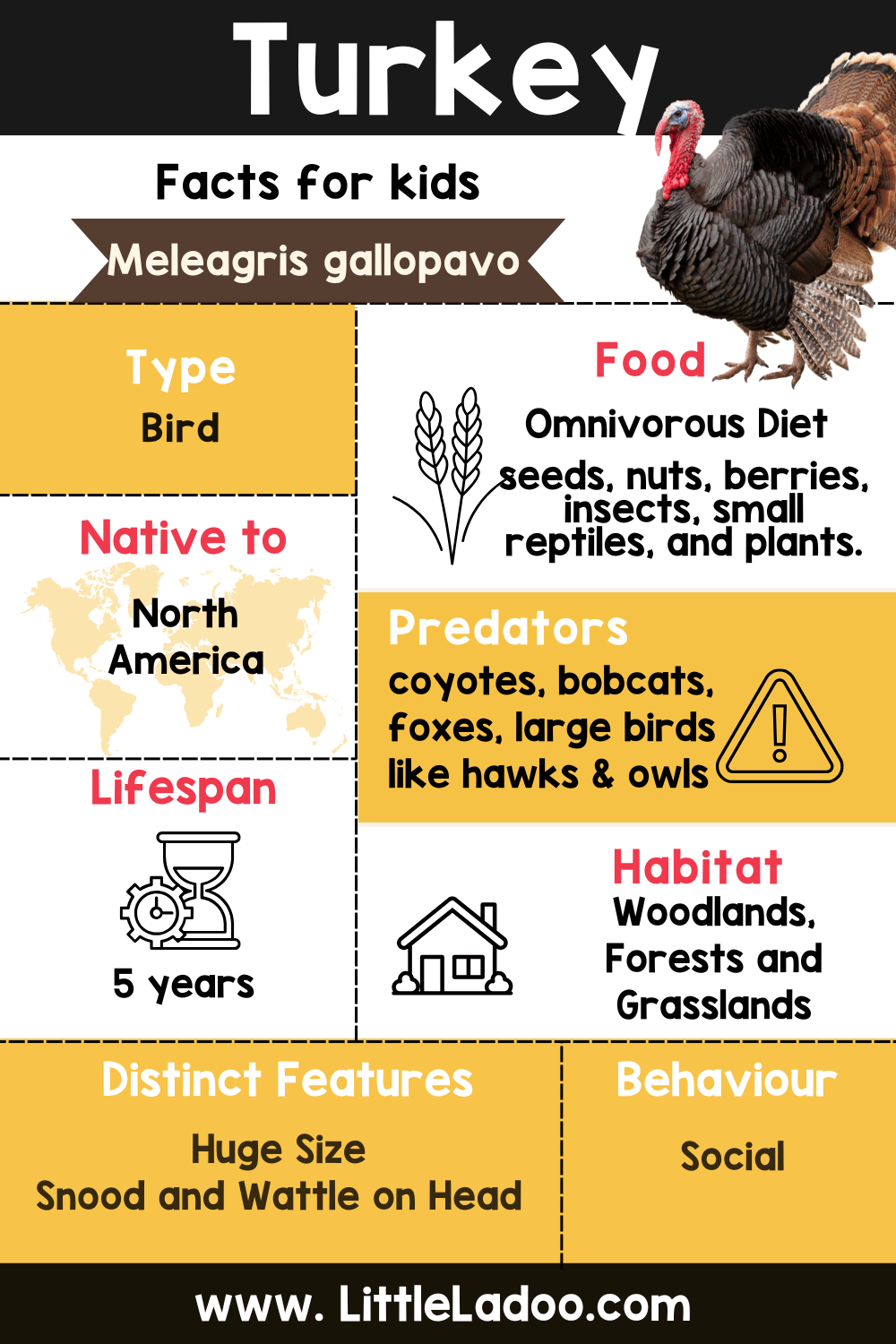 Turkey facts for kids