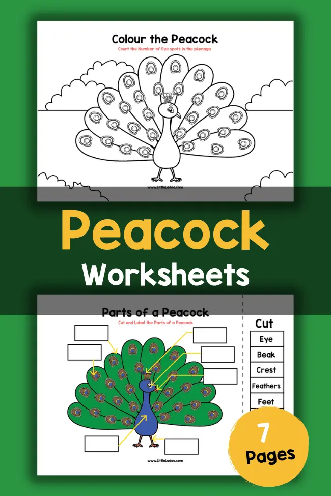 Peacock Worksheets for Kids {Free Printable}