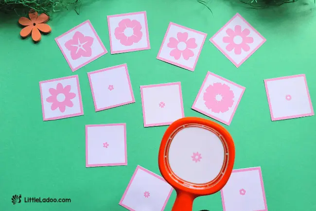 Flowers Magnifying Glass Matching Cards {Free Printable}