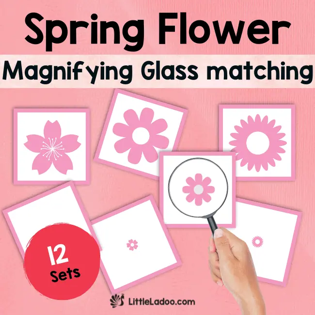 Flowers Magnifying Glass Matching Cards {Free Printable}