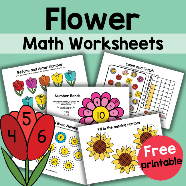 Flower Math Worksheets {Free Printable}