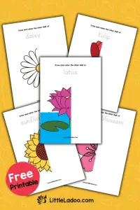 Flower Symmetry Drawing Prompts {Free Printable}