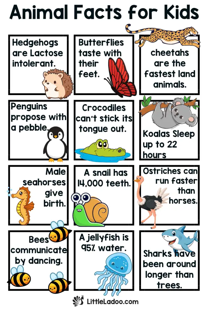 45 Animal Facts for kids that are Fun and Fascinating!