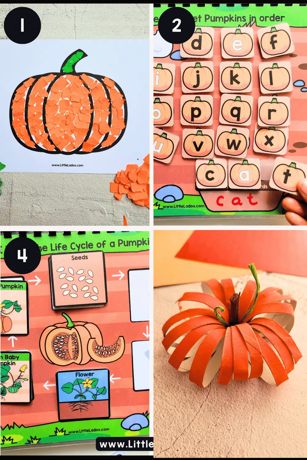 How to Carve a Jack-o’-Lantern? - Step-by-Step Guide