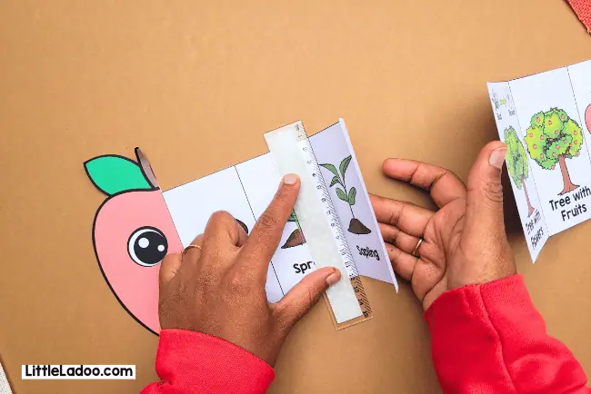 Apple Life Cycle Craft Printable