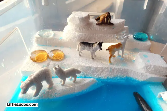 10+ Walrus Activities for kids