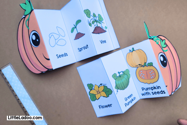 Pumpkin Life Cycle Craft Printable