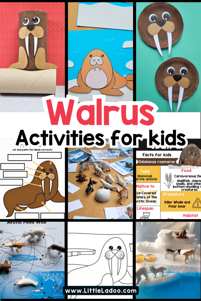 10+ Walrus Activities for kids