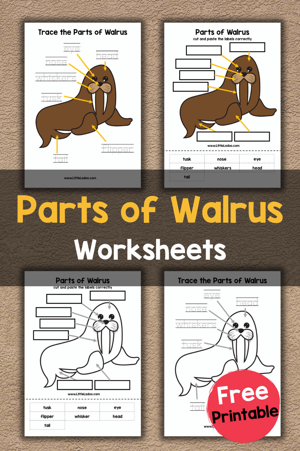 Parts of Walrus Worksheets {Free Printable}