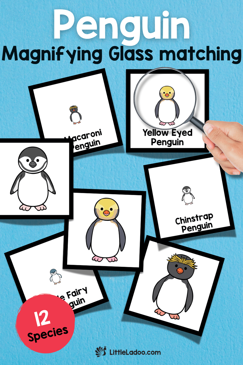 Penguin Magnifying Glass Matching cards {Free Printable}