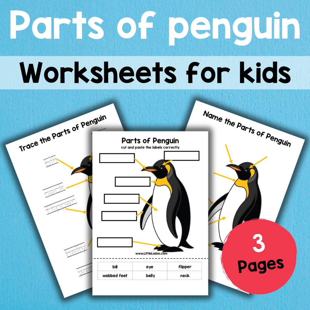 Penguin Worksheets Kindergarten