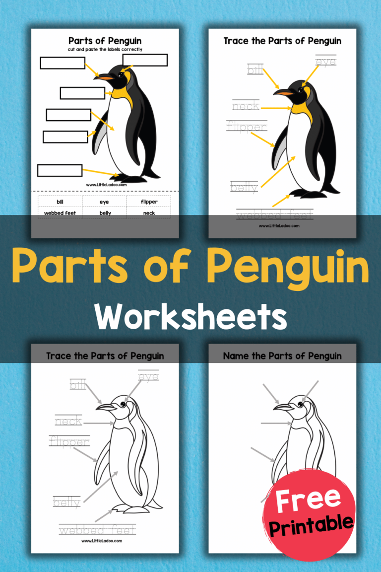 Parts of Penguin Worksheets {Free Printable}