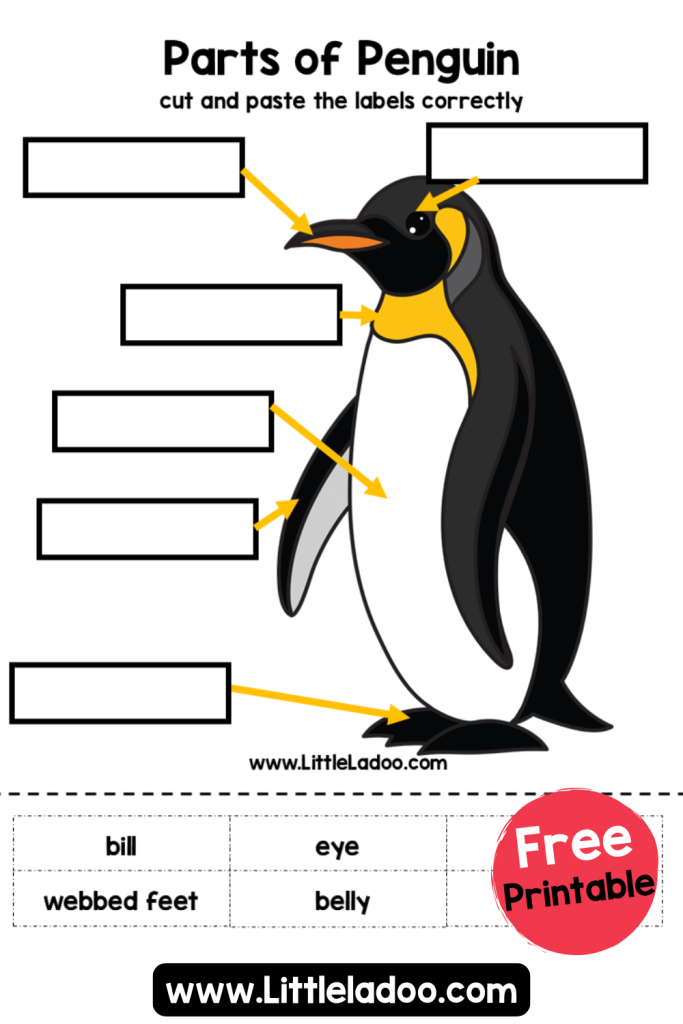 Parts of Penguin Worksheets {Free Printable}