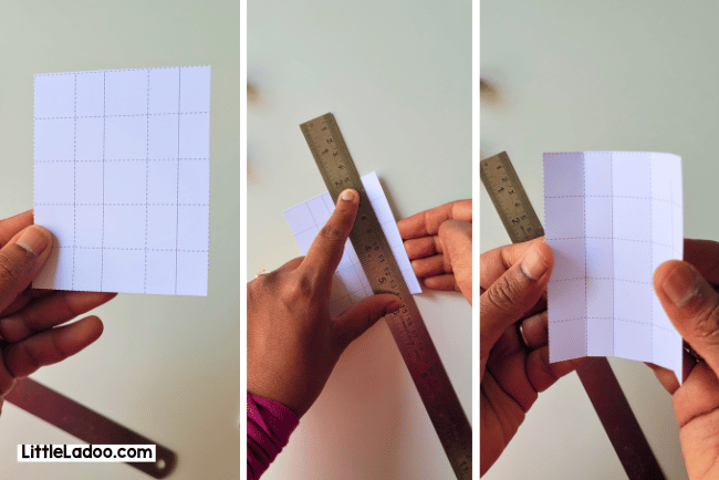 Human Body Internal Organs Craft